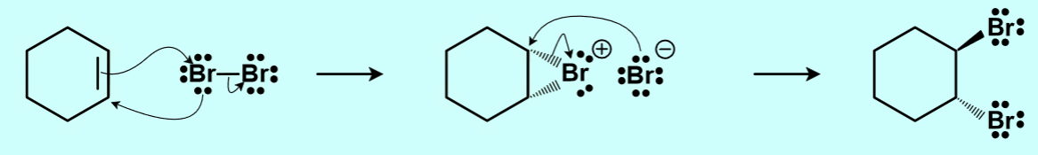 C21 Mechanisms